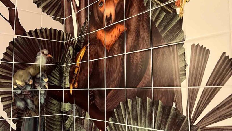 Printed Tiles Technical Specifications and Data : Custom Tiles