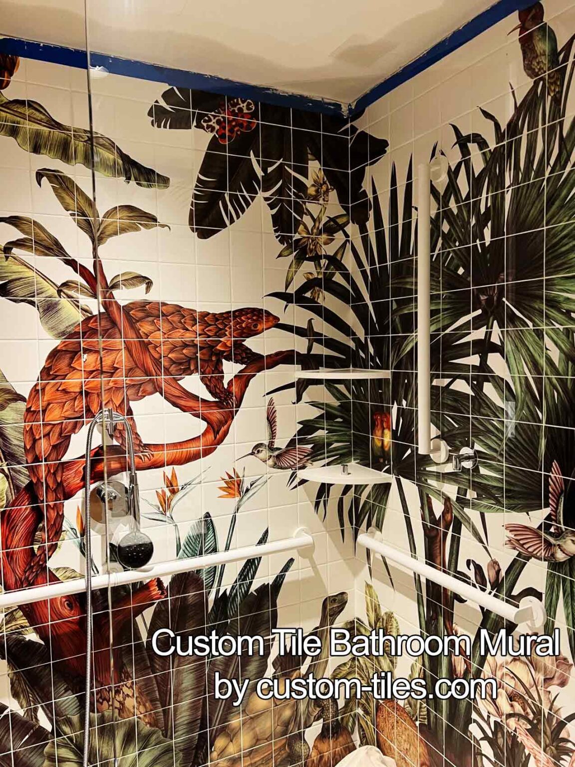 Custom Printed Kitchen Backsplash Tiles : Custom Tiles